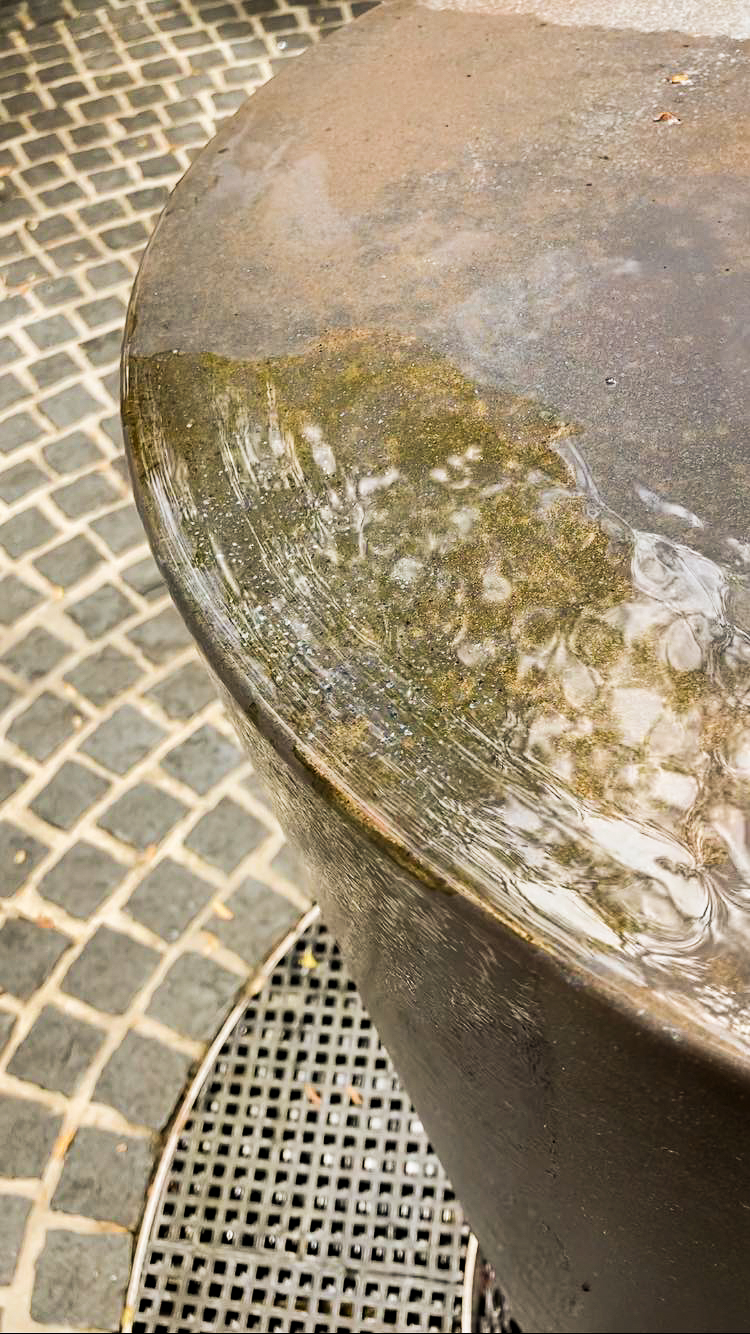 ACU North Sydney Chapel - Nimbus Architecture and Heritage